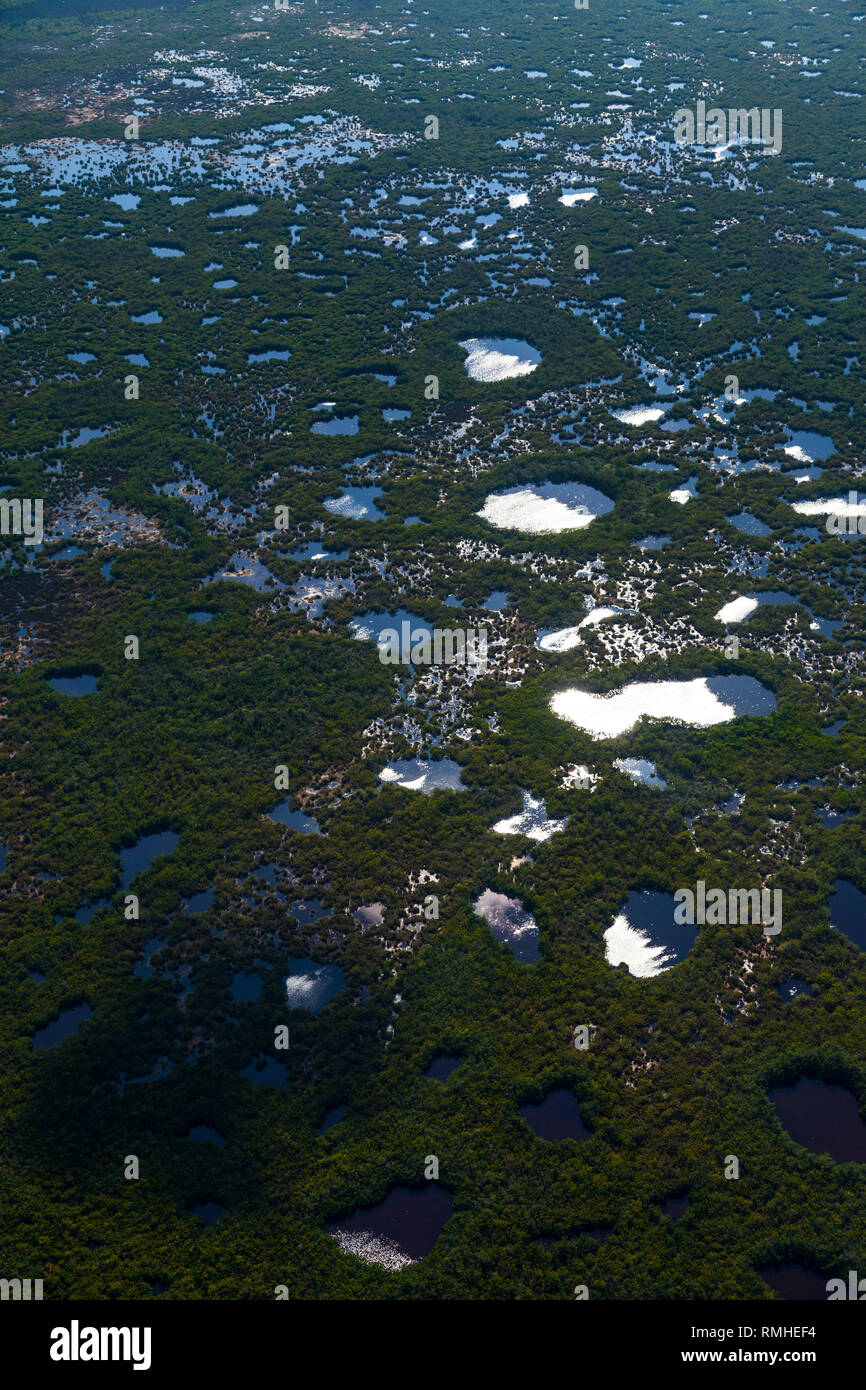 Aerial view, Everglades Natuional Park, FLORIDA, USA, AMERICA Stock ...