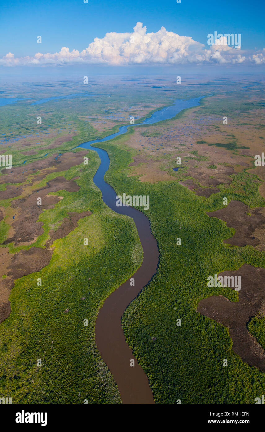 Everglades wetlands aerial hi-res stock photography and images - Alamy