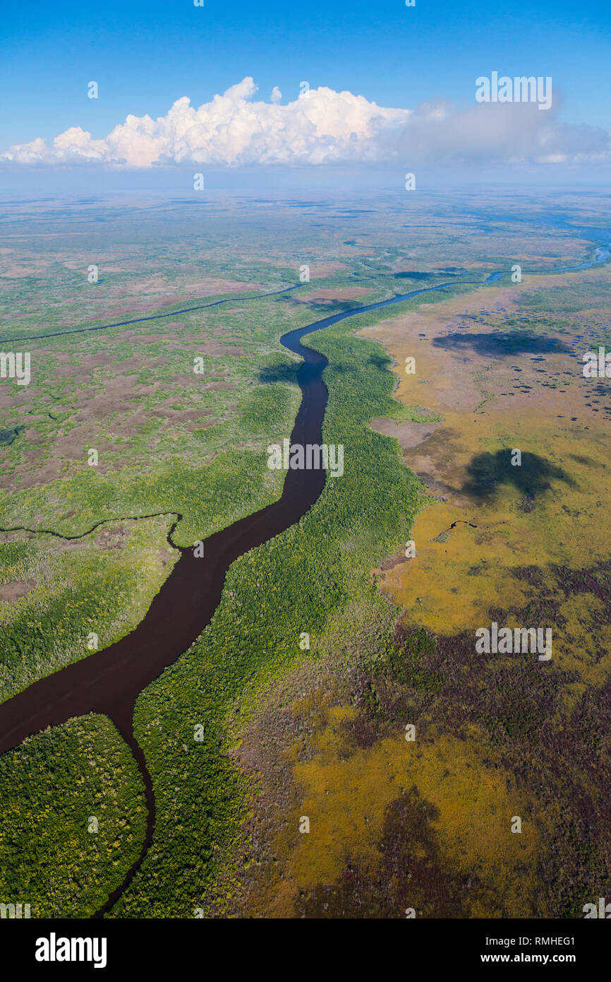 Aerial view, Everglades Natuional Park, FLORIDA, USA, AMERICA Stock ...