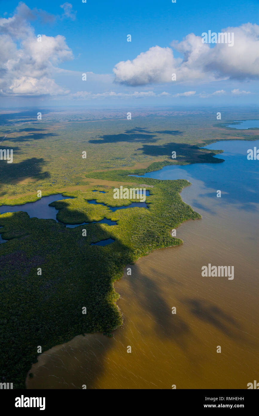 Aerial view, Everglades Natuional Park, FLORIDA, USA, AMERICA Stock ...
