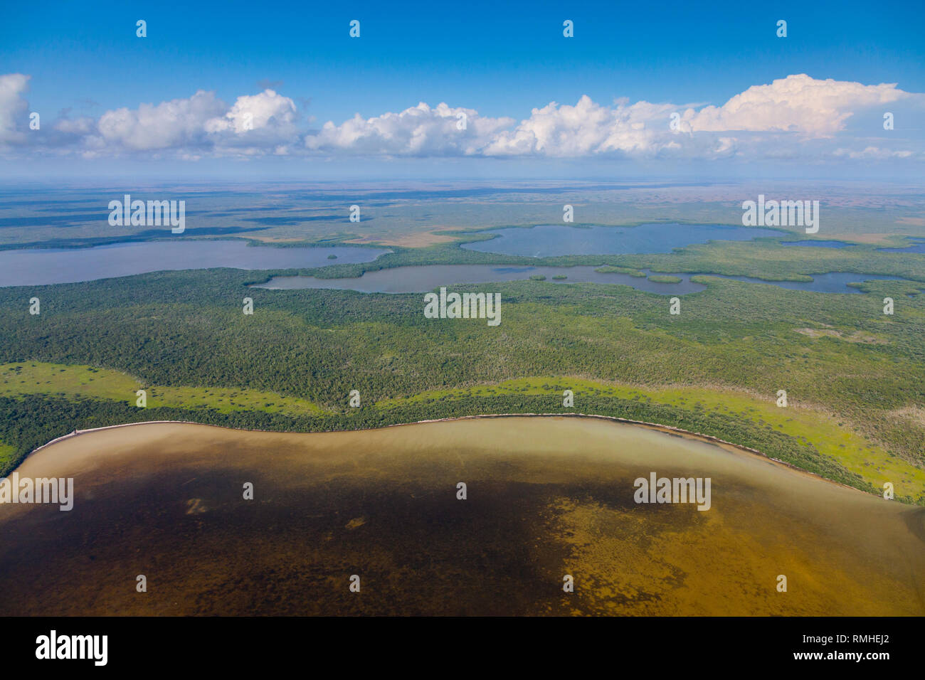 Aerial view, Everglades Natuional Park, FLORIDA, USA, AMERICA Stock ...