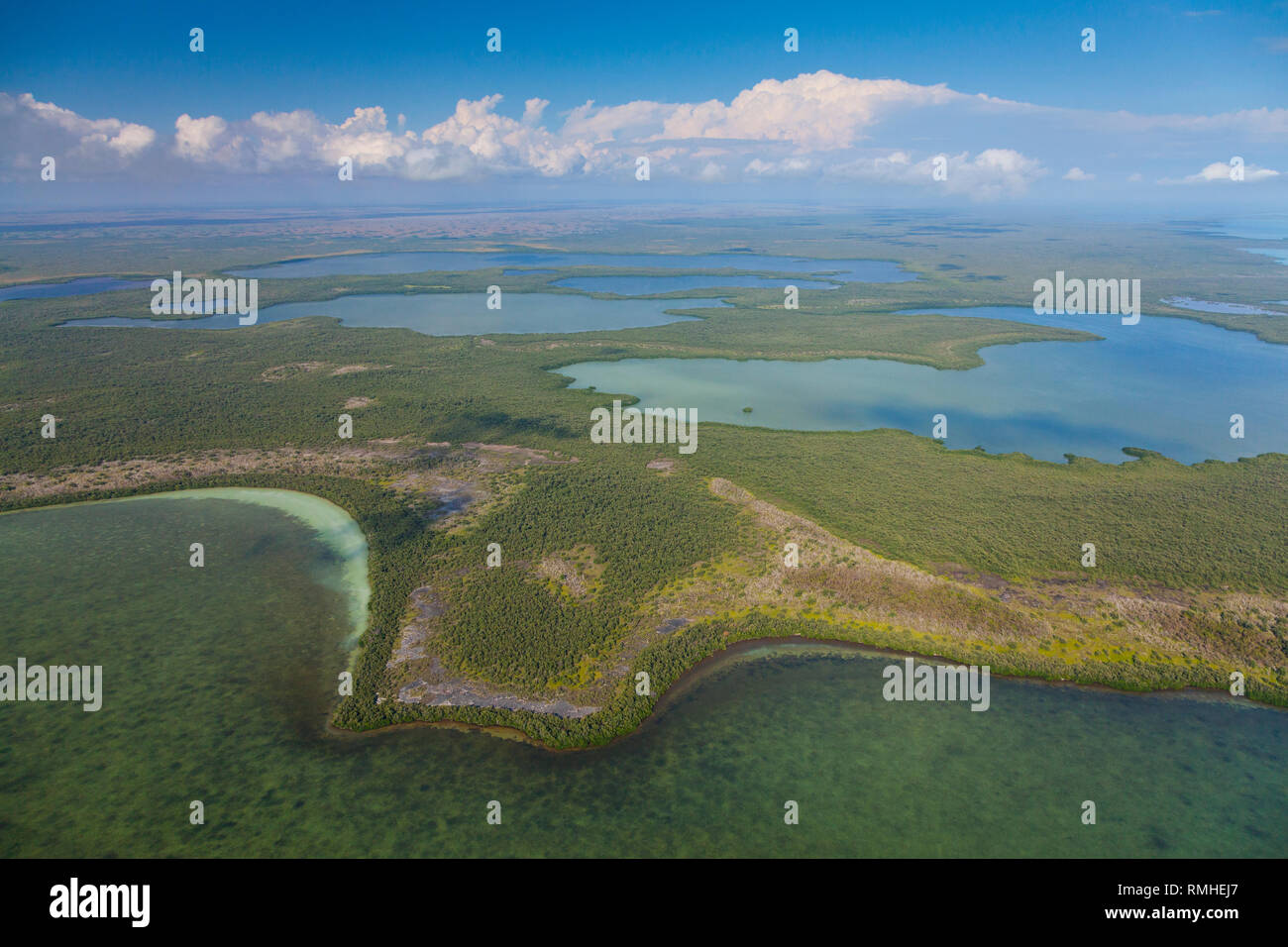 Aerial view, Everglades Natuional Park, FLORIDA, USA, AMERICA Stock ...