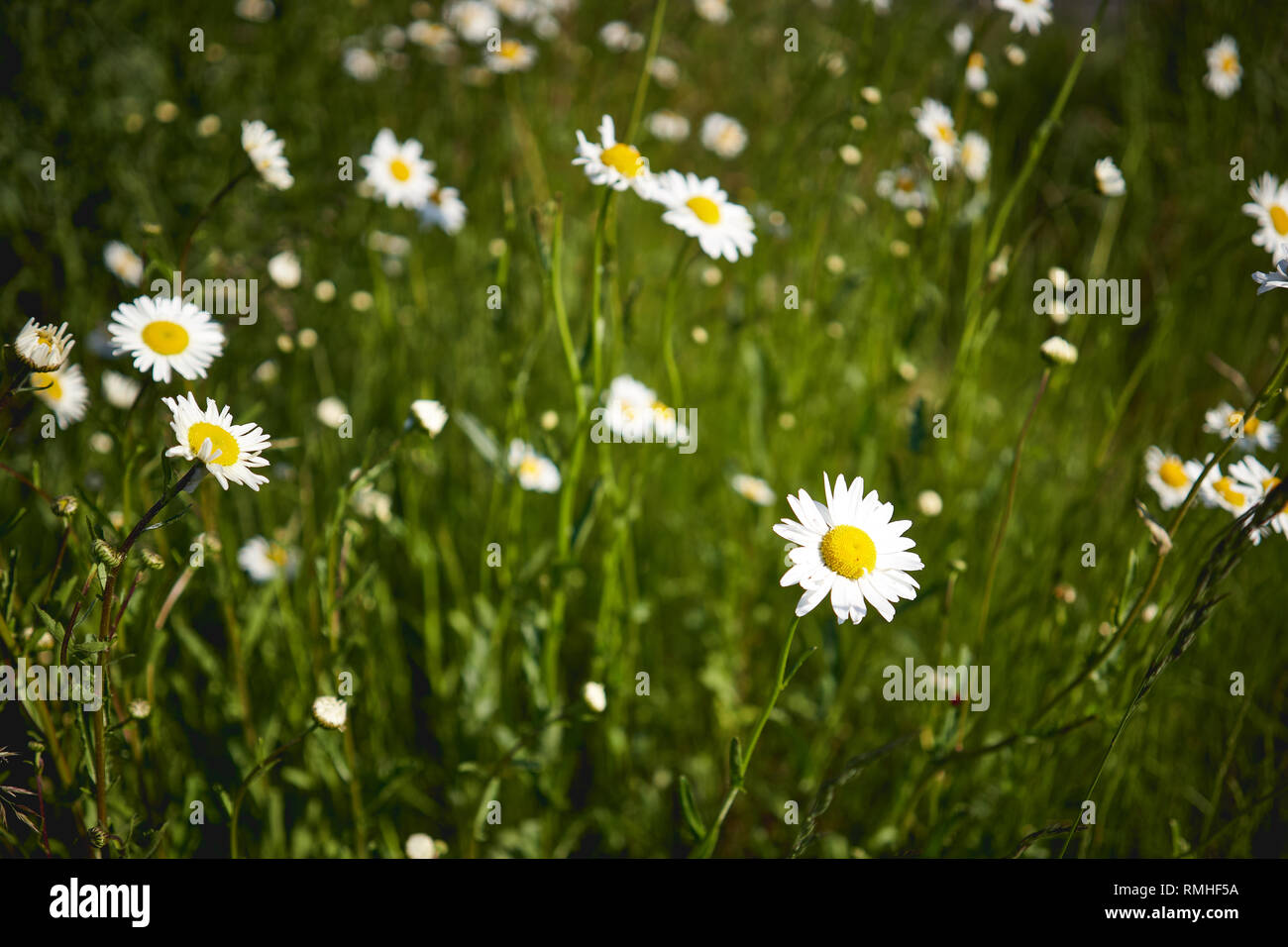 Landscape format landscape format landscape format hi-res stock ...