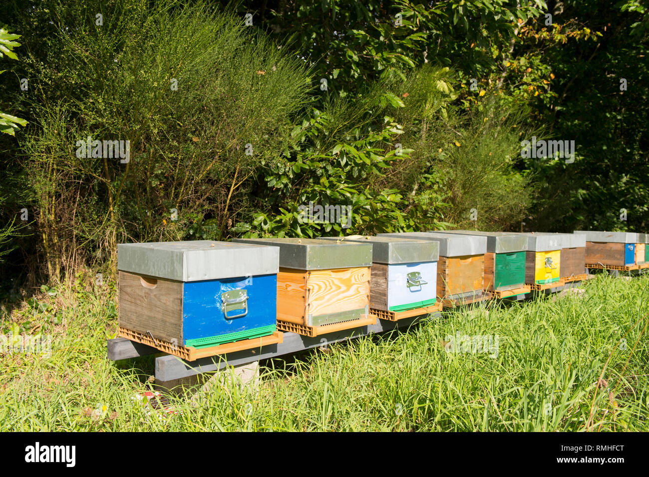 Beehive Bees Old Fashioned High Resolution Stock Photography and Images ...