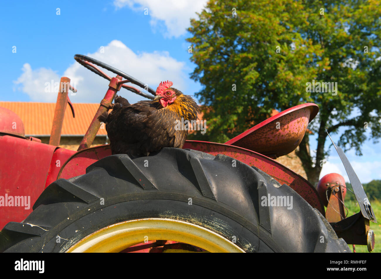 Old vintage french farm tractor hi-res stock photography and images - Alamy
