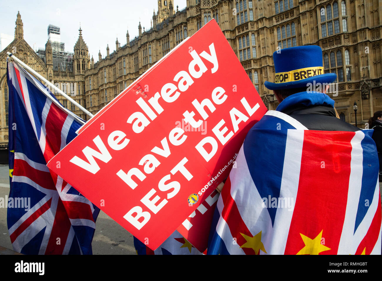 A Pro Remain supporter demonstrates outside Parliament in support of ...