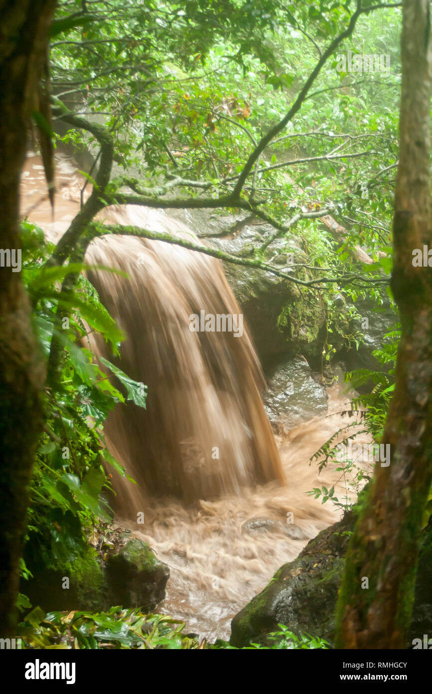 Mud stream due to heavy rain Stock Photo - Alamy