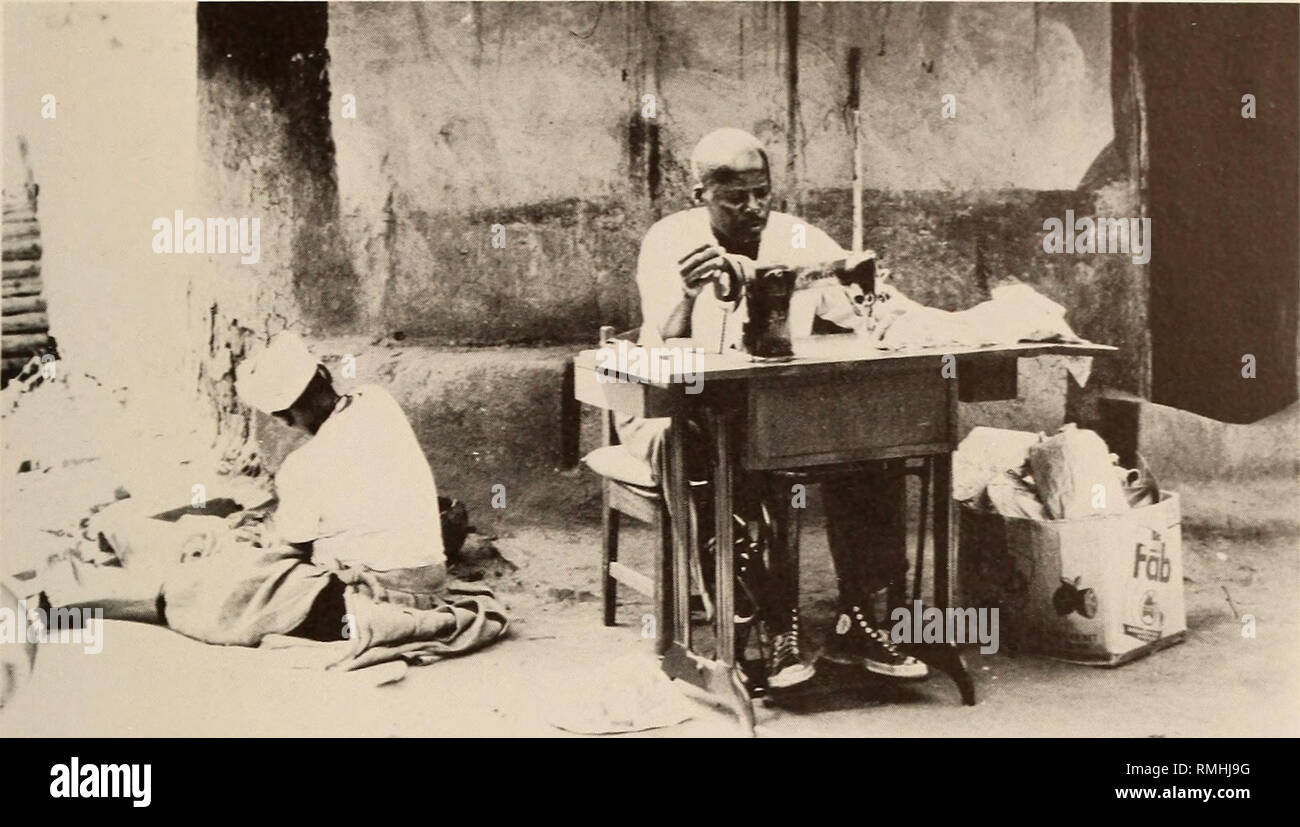 The natural history museum 1930s hi-res stock photography and images ...