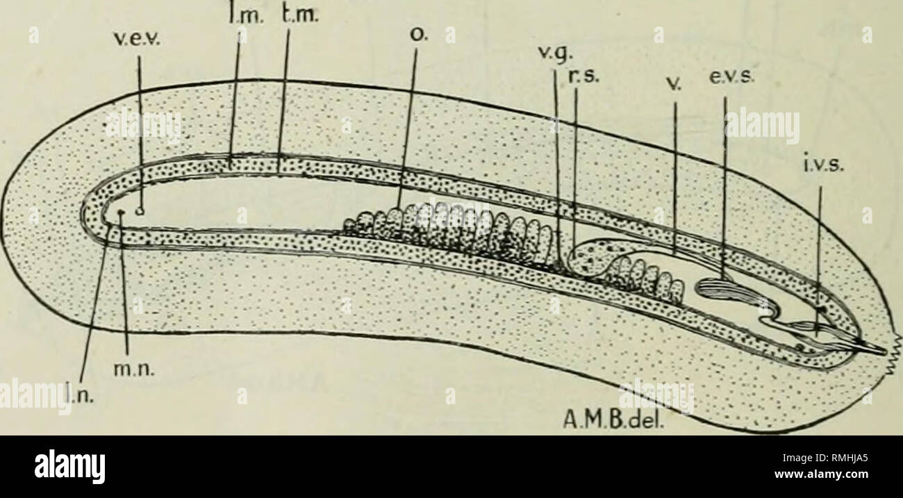 Vas vessel hi-res stock photography and images - Alamy