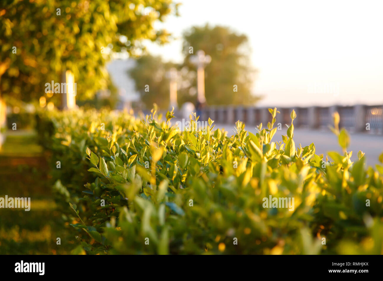 Parapet waterfront hi-res stock photography and images - Alamy