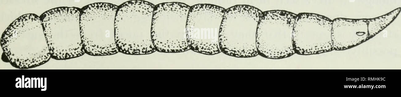 Approximately Equal Size High Resolution Stock Photography and Images ...