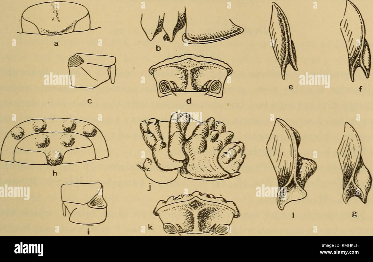 . Annals of the South African Museum = Annale van die Suid-Afrikaanse ...