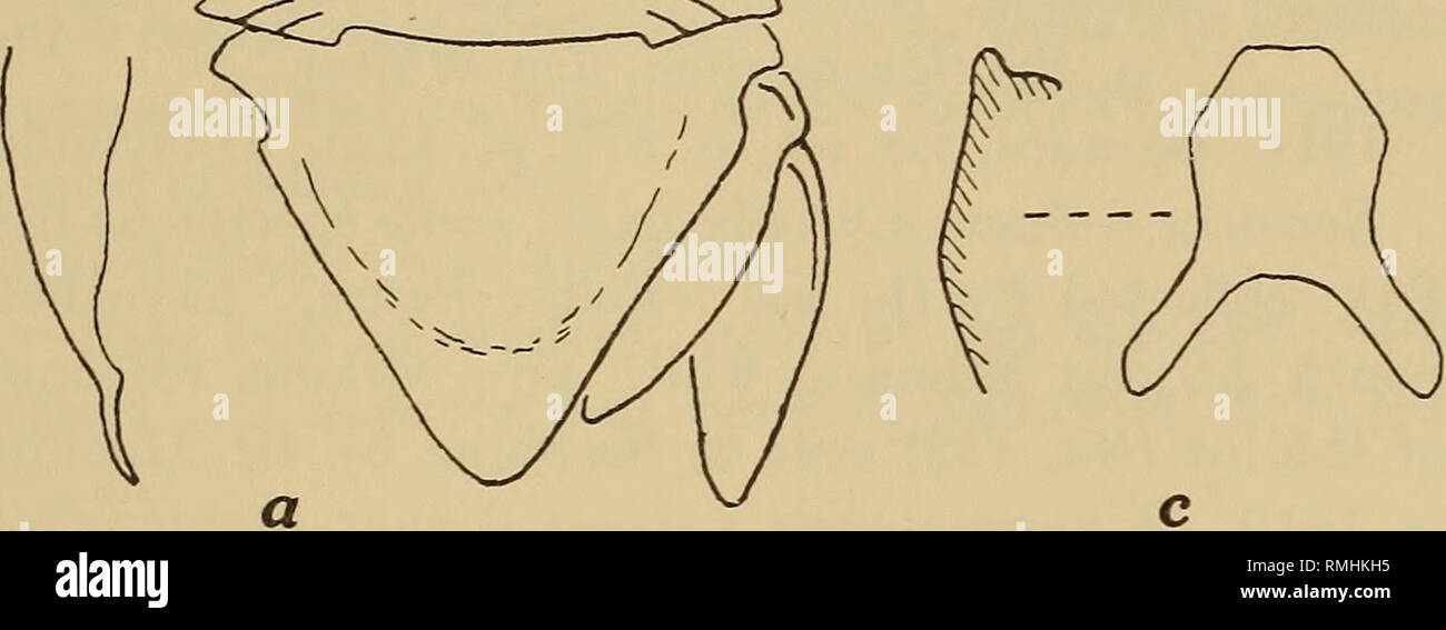 Pag triangular hi-res stock photography and images - Alamy