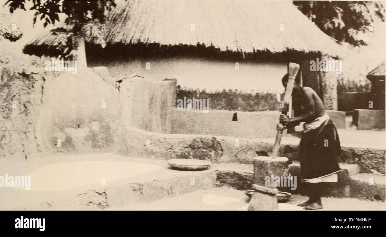 . Annals of the South African Museum = Annale van die Suid-Afrikaanse ...