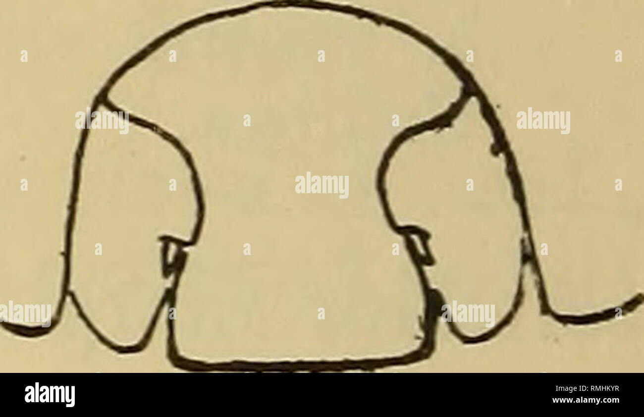 . Annals of the South African Museum = Annale van die Suid-Afrikaanse ...