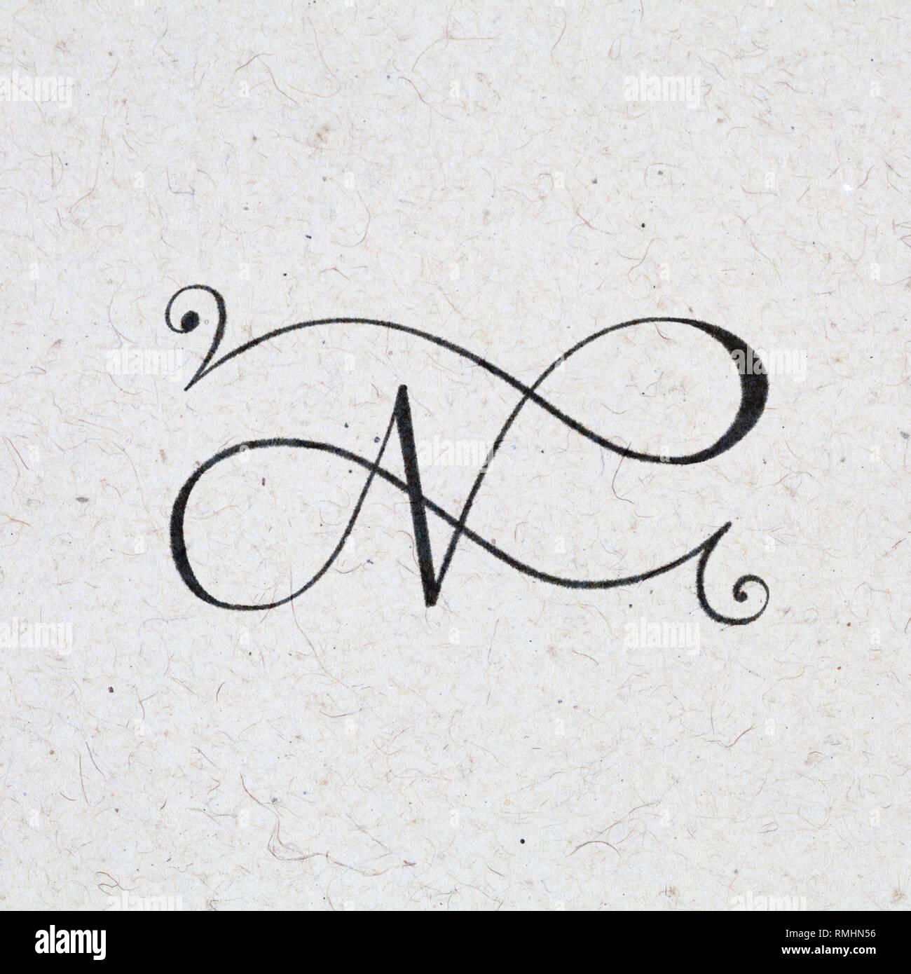 Elegant letter N monogram with flourishes Stock Photo - Alamy