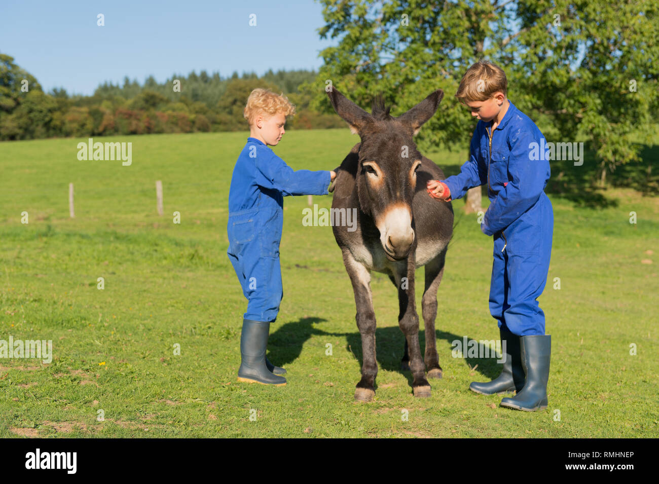 Farmboy hi-res stock photography and images - Alamy