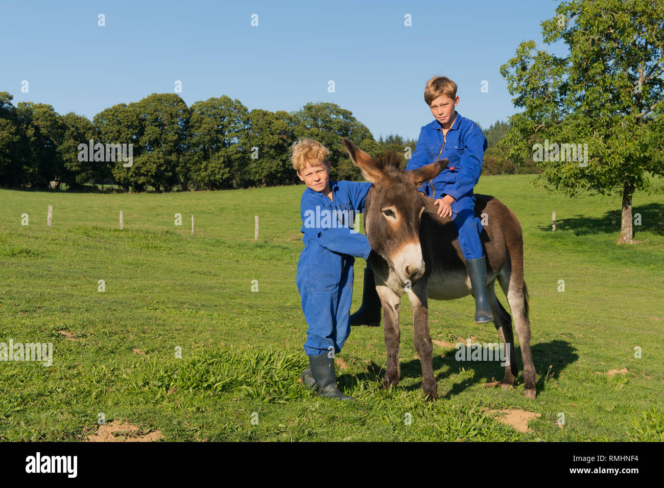 Farm boys riding on their donkey Stock Photo - Alamy