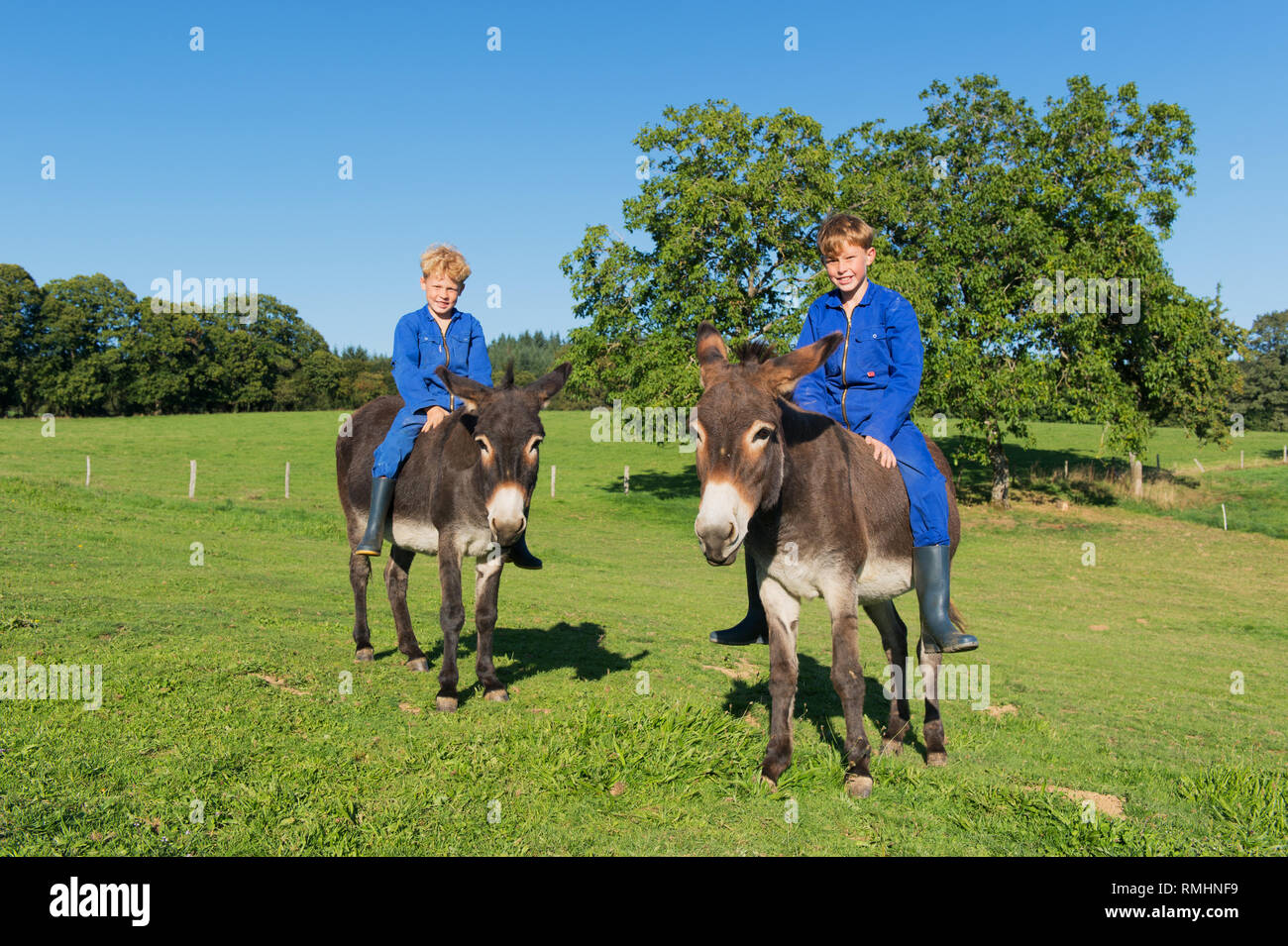 Farm boys riding on their donkeys Stock Photo - Alamy