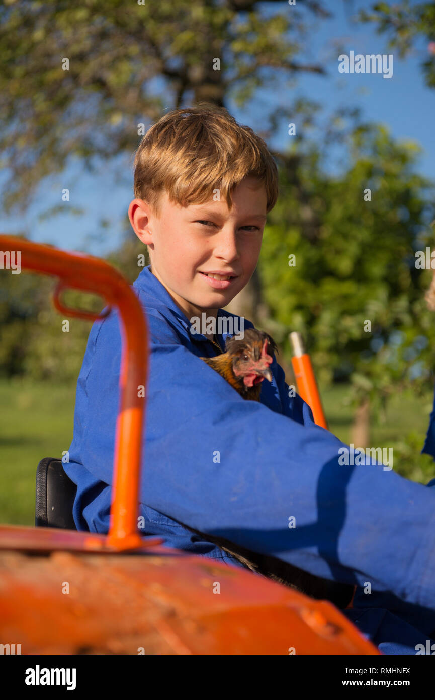 Chicken pastures hi-res stock photography and images - Alamy