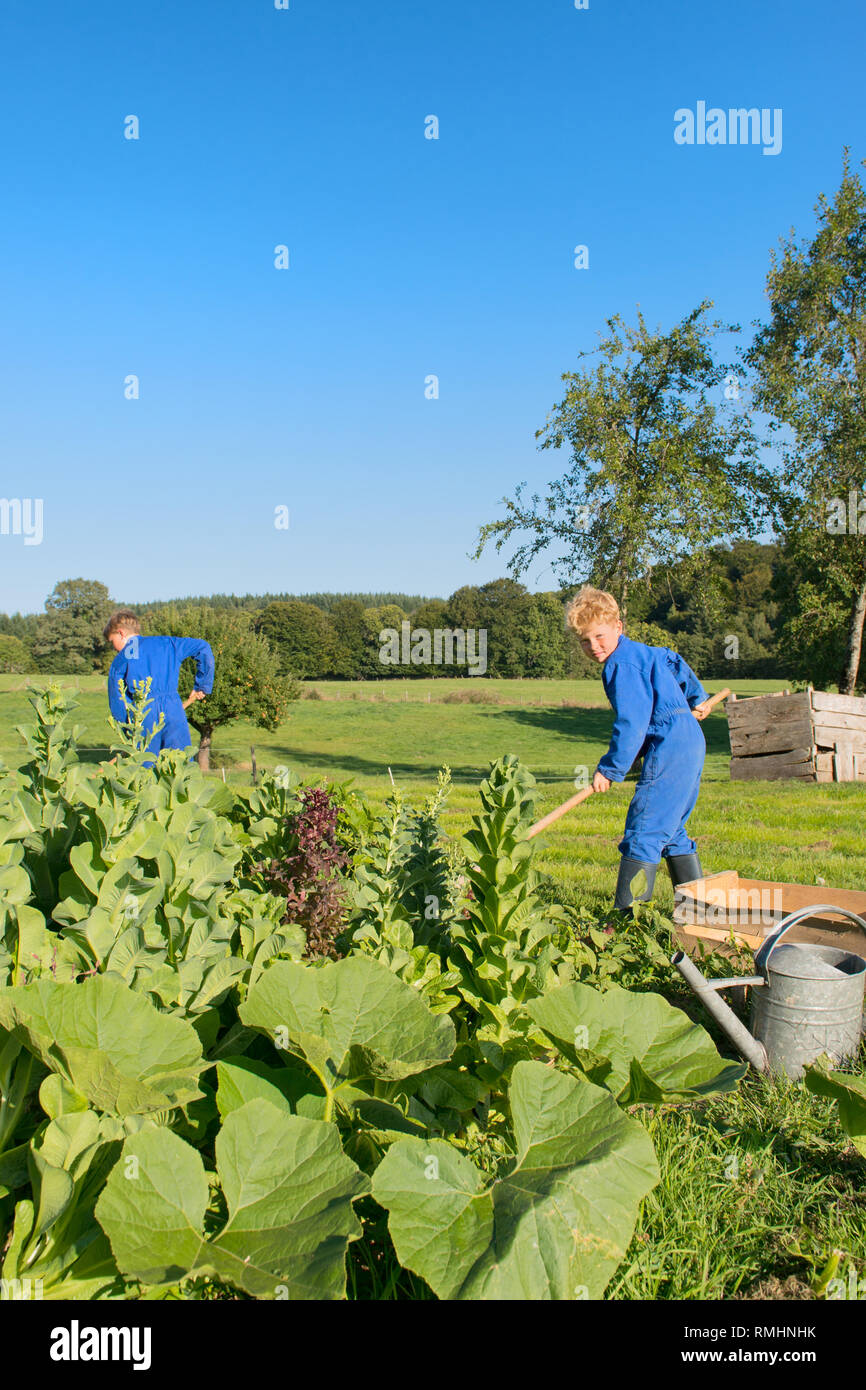 Farm boys working in the vegetable garden Stock Photo - Alamy