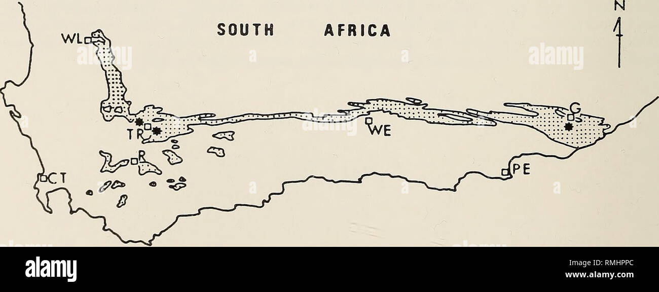 Cape supergroup hi-res stock photography and images - Alamy