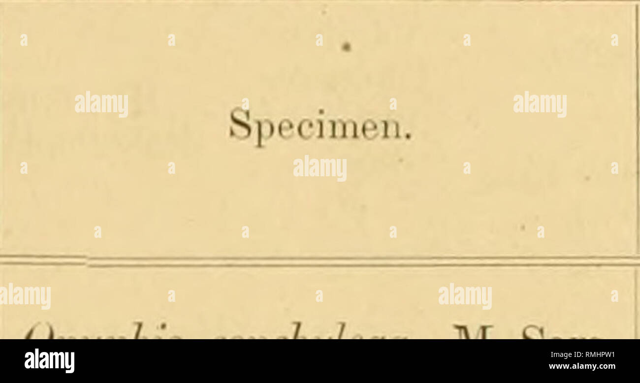 Gerhard armauer hansen hi-res stock photography and images - Alamy