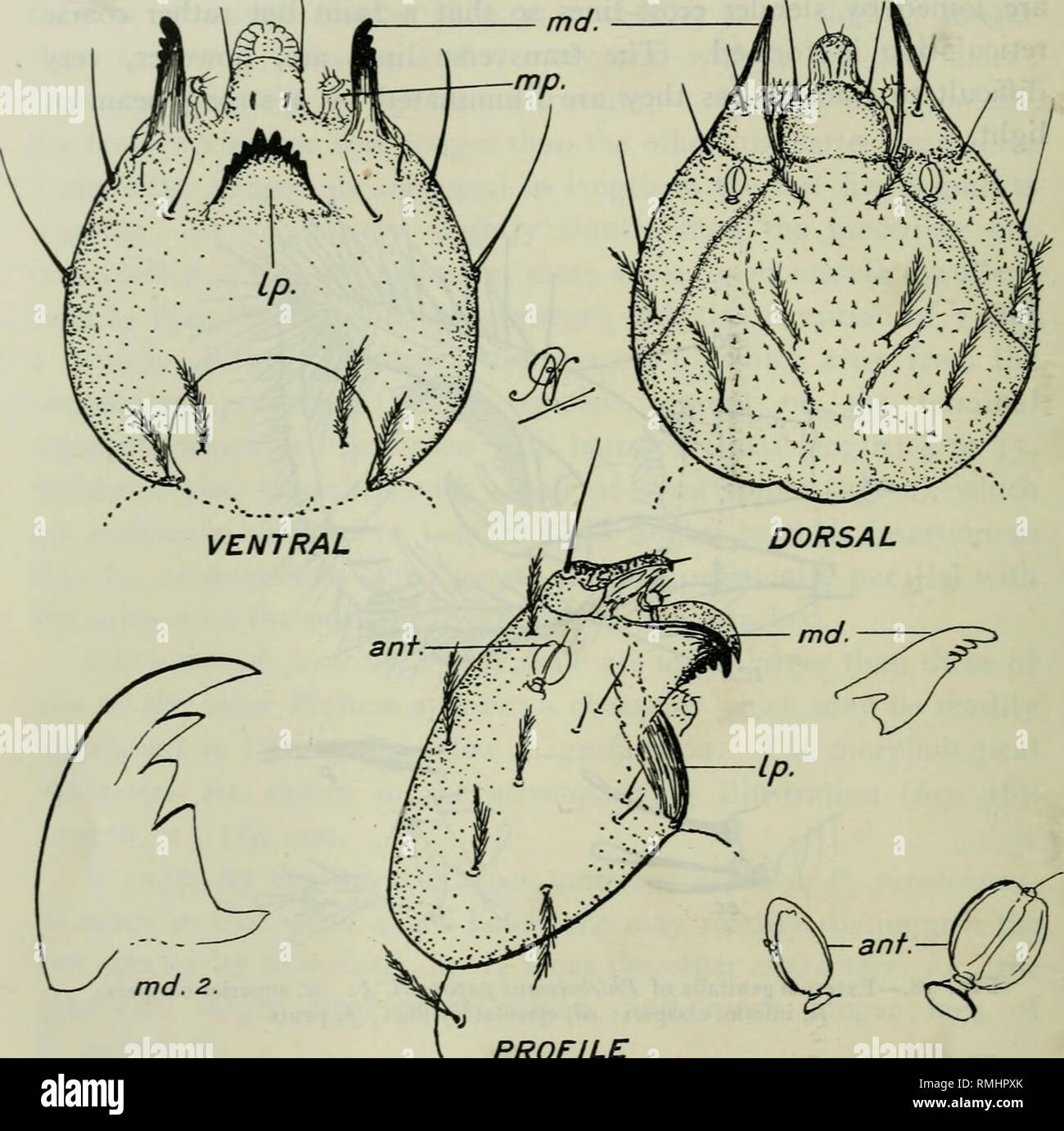 . Annals of tropical medicine and parasitology. Parasites. 178 longer ...
