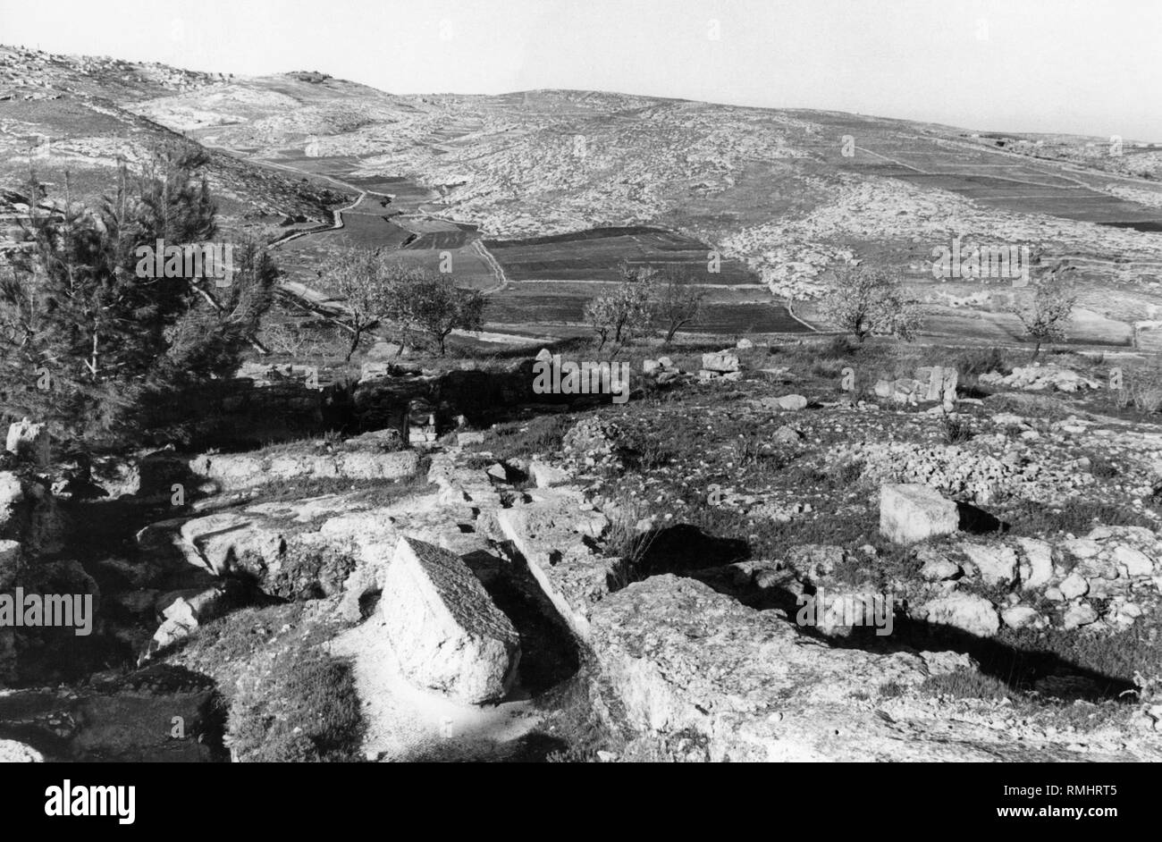 The so-called 'Shepherds Field at Beit Sahour near Bethlehem in the ...