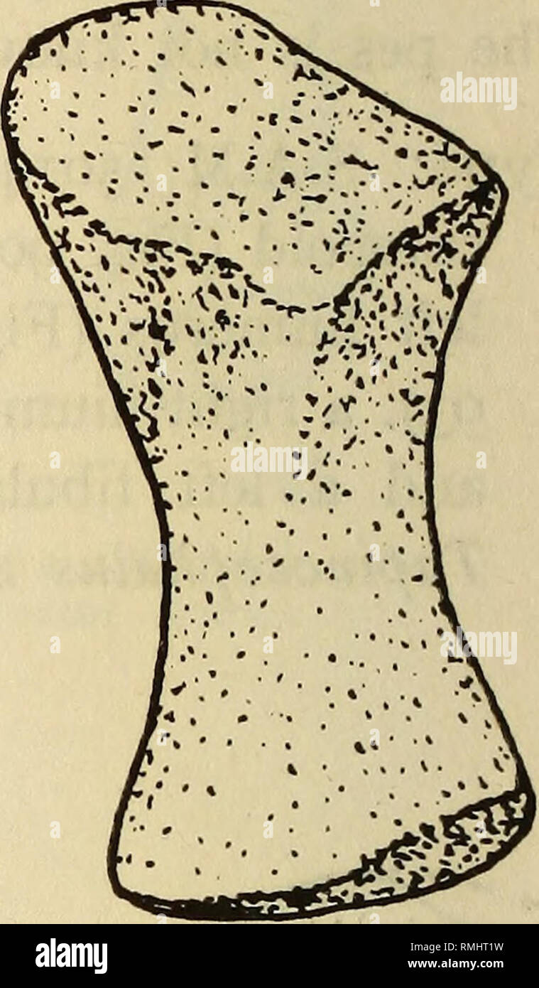 Jonkeria hi-res stock photography and images - Alamy