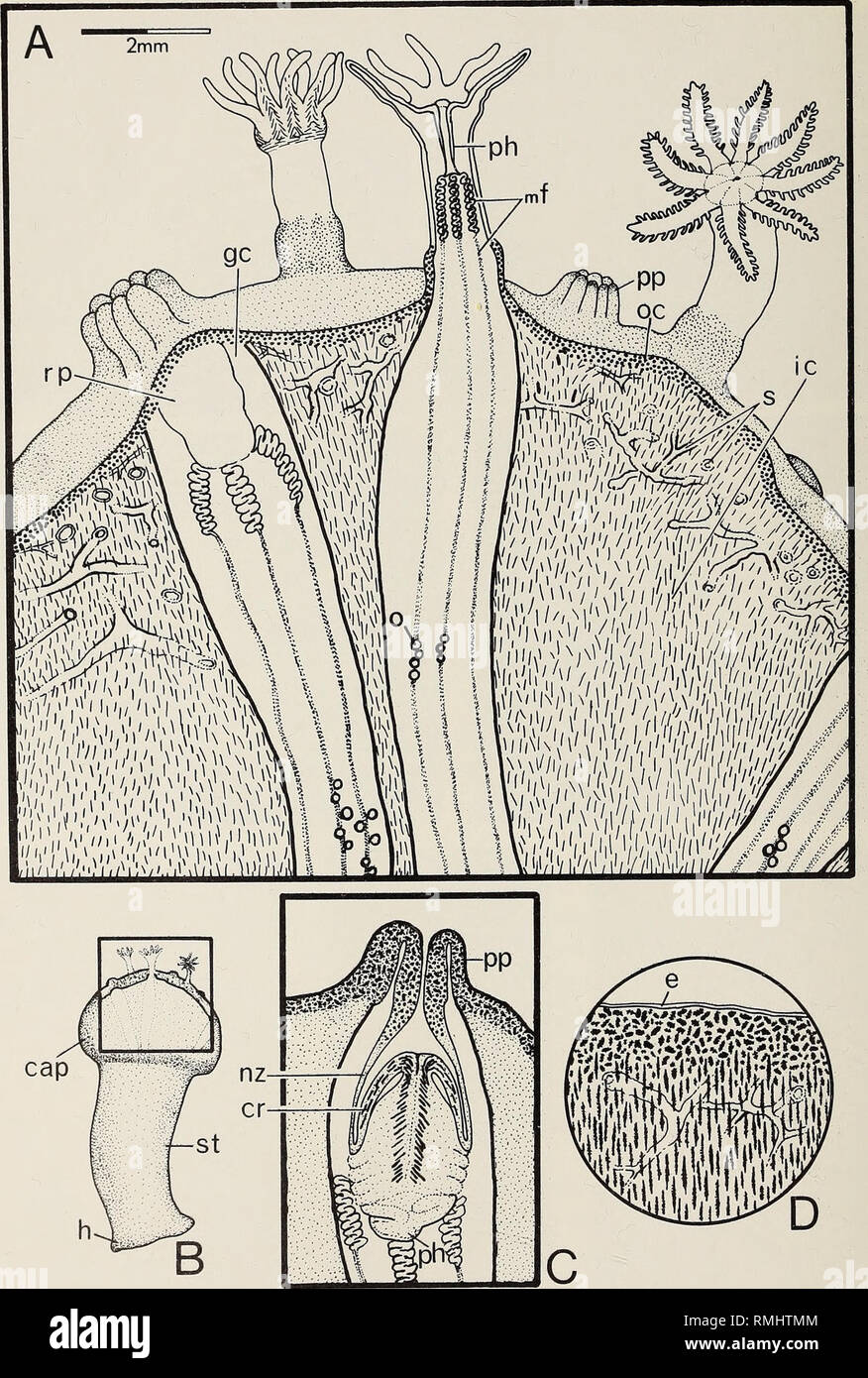 Width 254 mm hi-res stock photography and images - Alamy