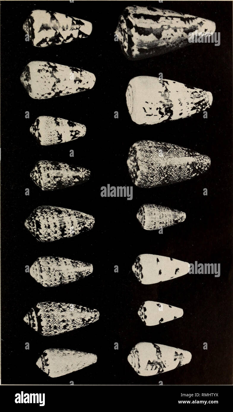 . Annals of the South African Museum = Annale van die Suid-Afrikaanse ...