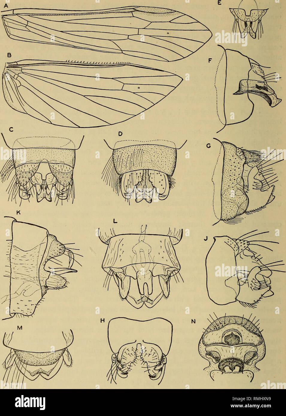. Annals of the South African Museum = Annale van die Suid-Afrikaanse ...