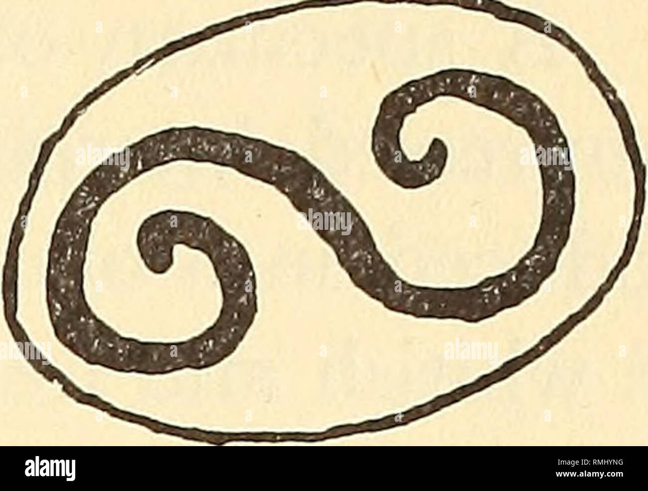 Van heller hi-res stock photography and images - Alamy