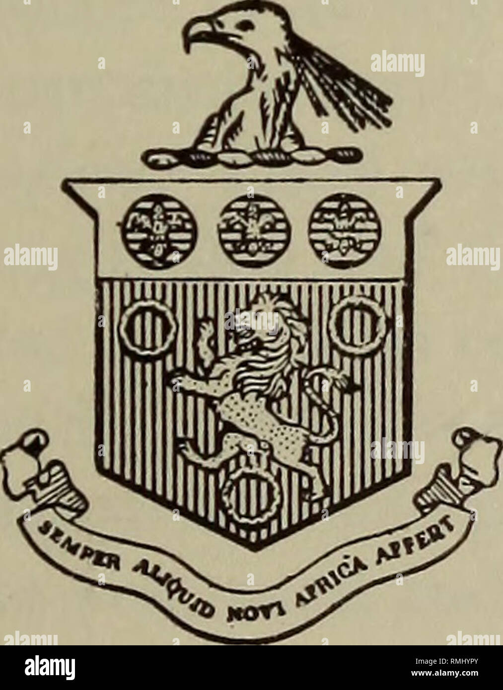 Deuterosaurus hi-res stock photography and images - Alamy