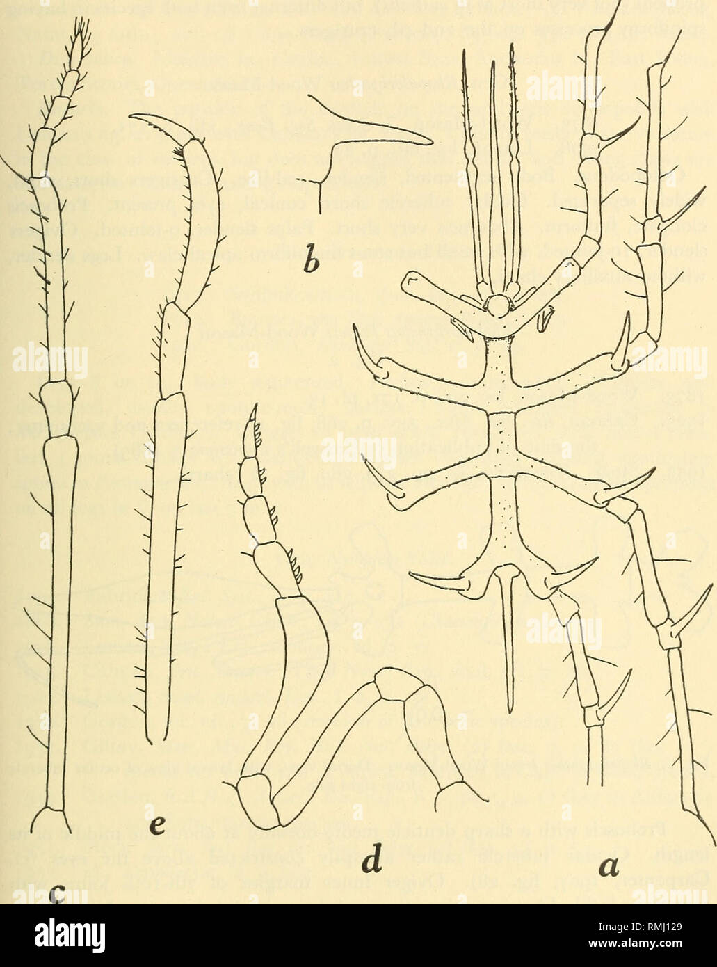 . Annals of the South African Museum = Annale van die Suid-Afrikaanse ...