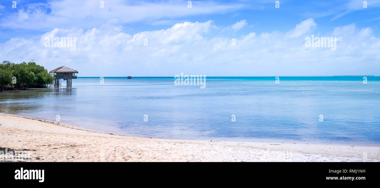 Beautiful amazing gold colored sandy beach with soft waves isolated ...