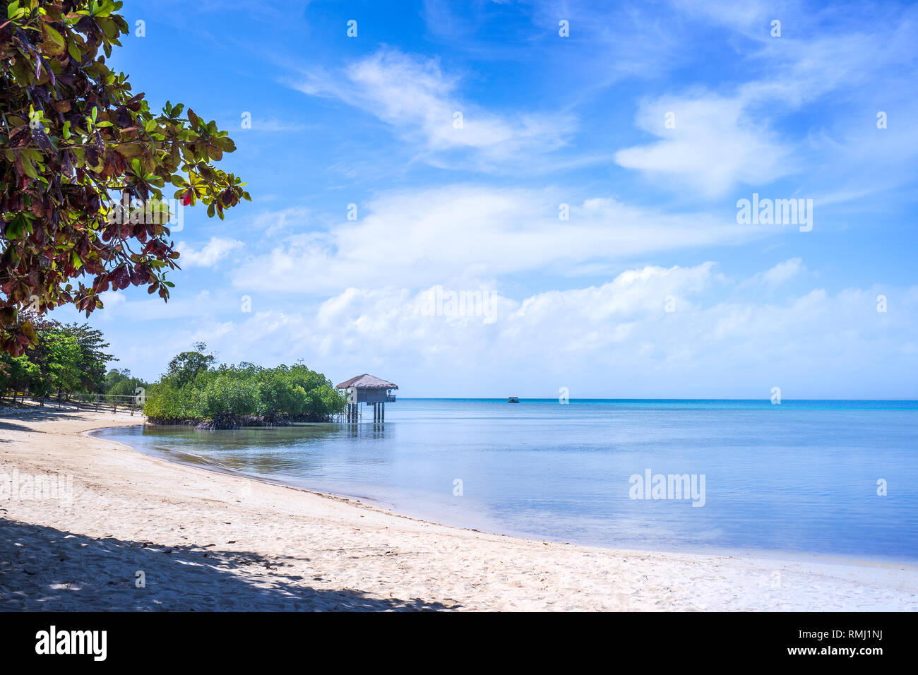 Beautiful amazing gold colored sandy beach with soft waves isolated ...