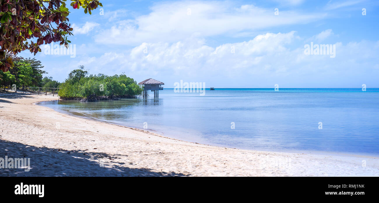 Beautiful amazing gold colored sandy beach with soft waves isolated ...