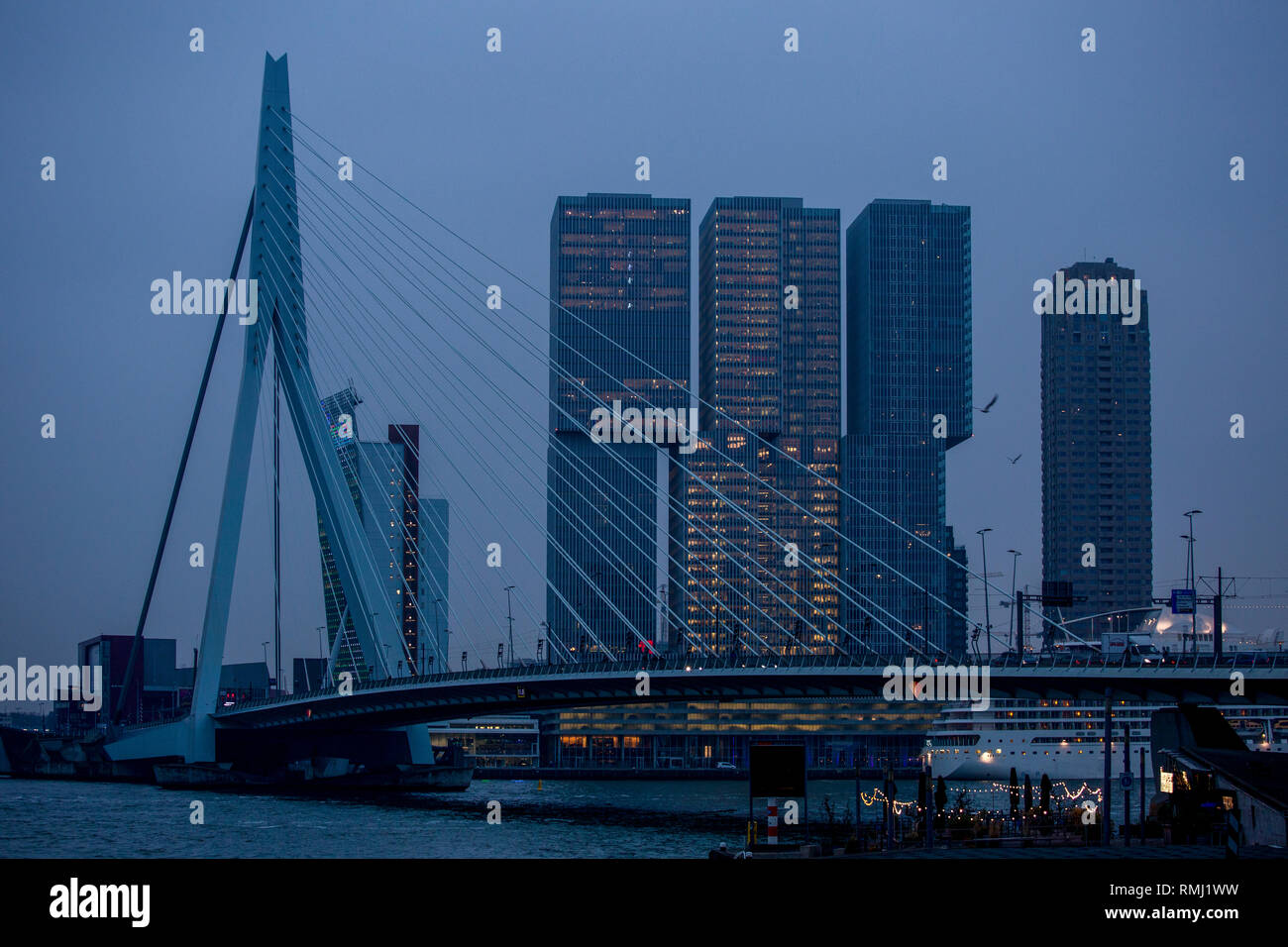 Early morning cityscape of the city of Rotterdam with in the foreground ...