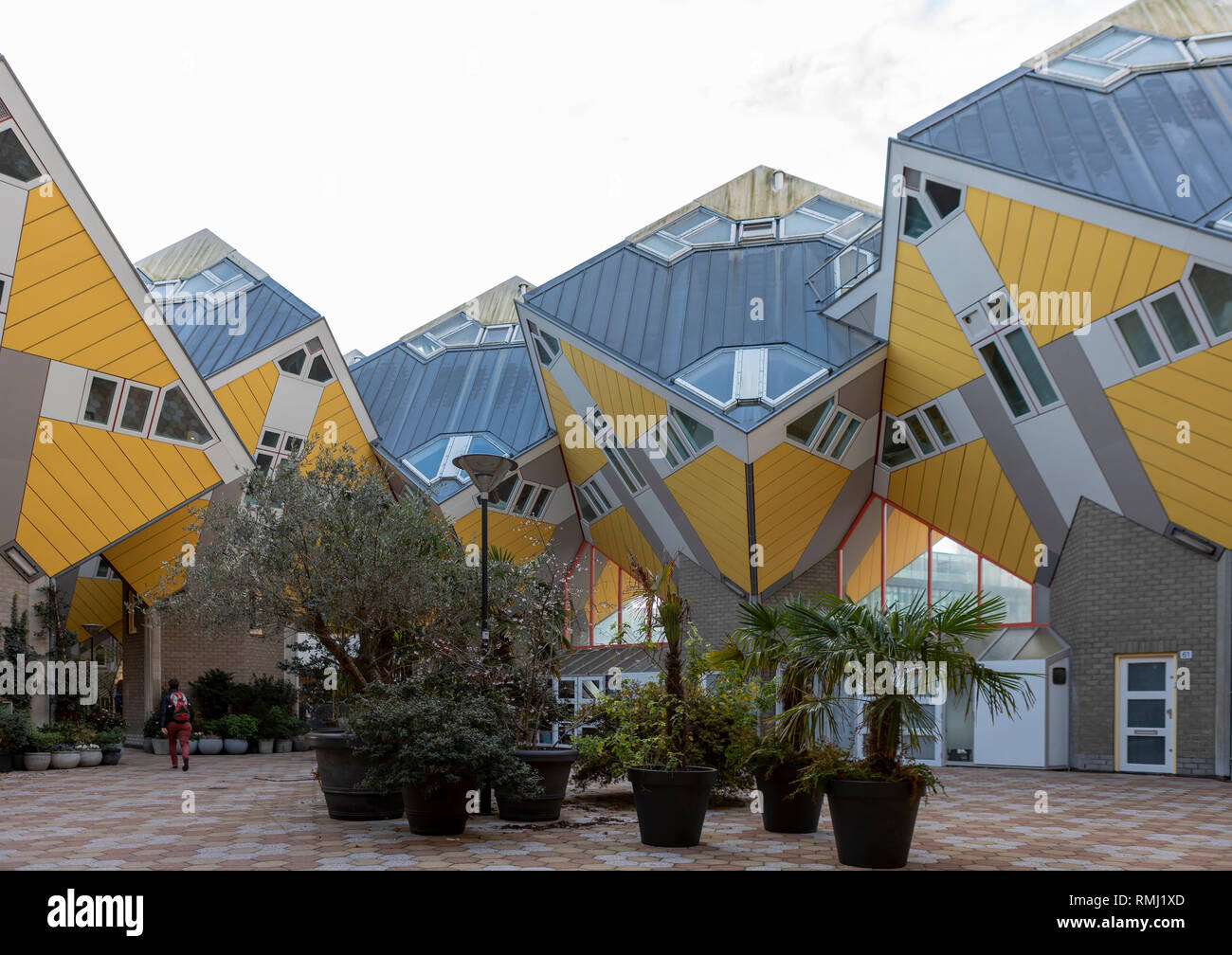 View of the famous tilted cube houses in Rotterdam, The Netherlands ...