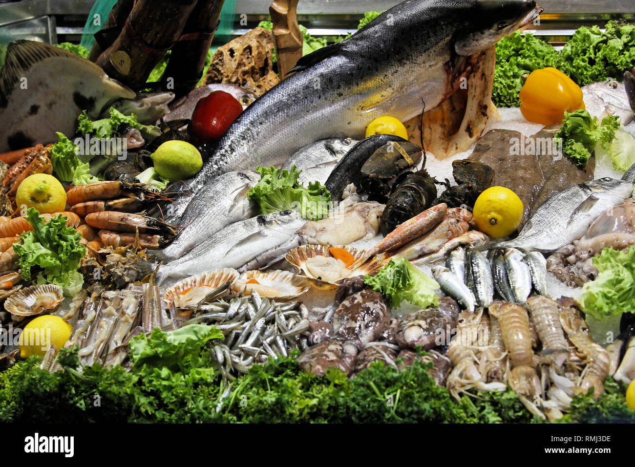 Seafood fish and shells variety in display Stock Photo - Alamy