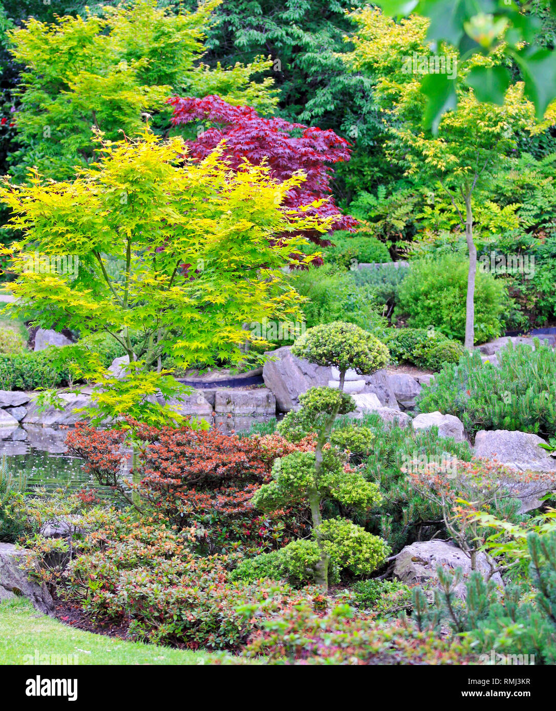 Kyoto green garden in traditional Japanese style Stock Photo - Alamy