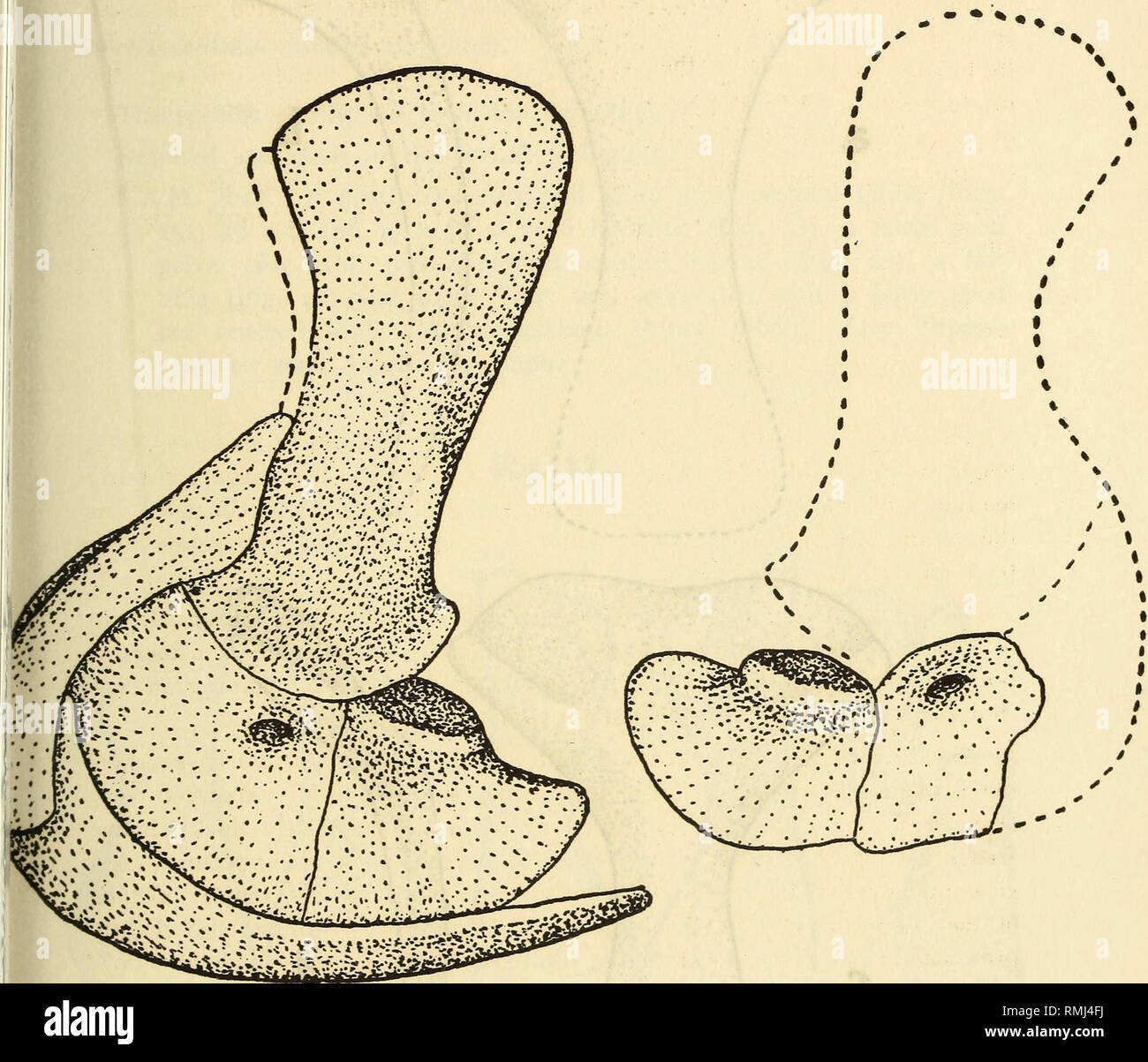 Width 225 mm hi-res stock photography and images - Alamy