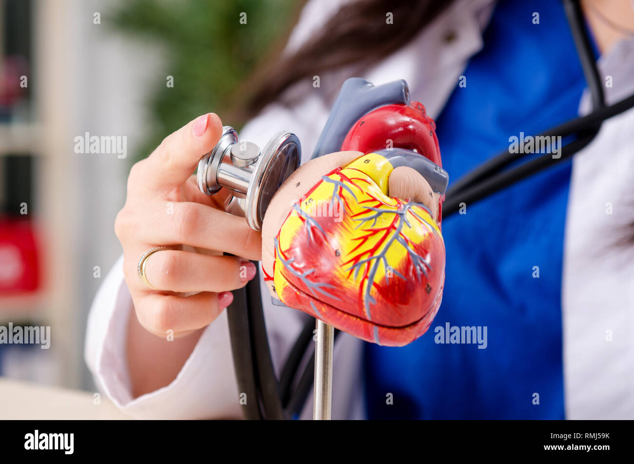 Female doctor cardiologist working in the clinic Stock Photo - Alamy