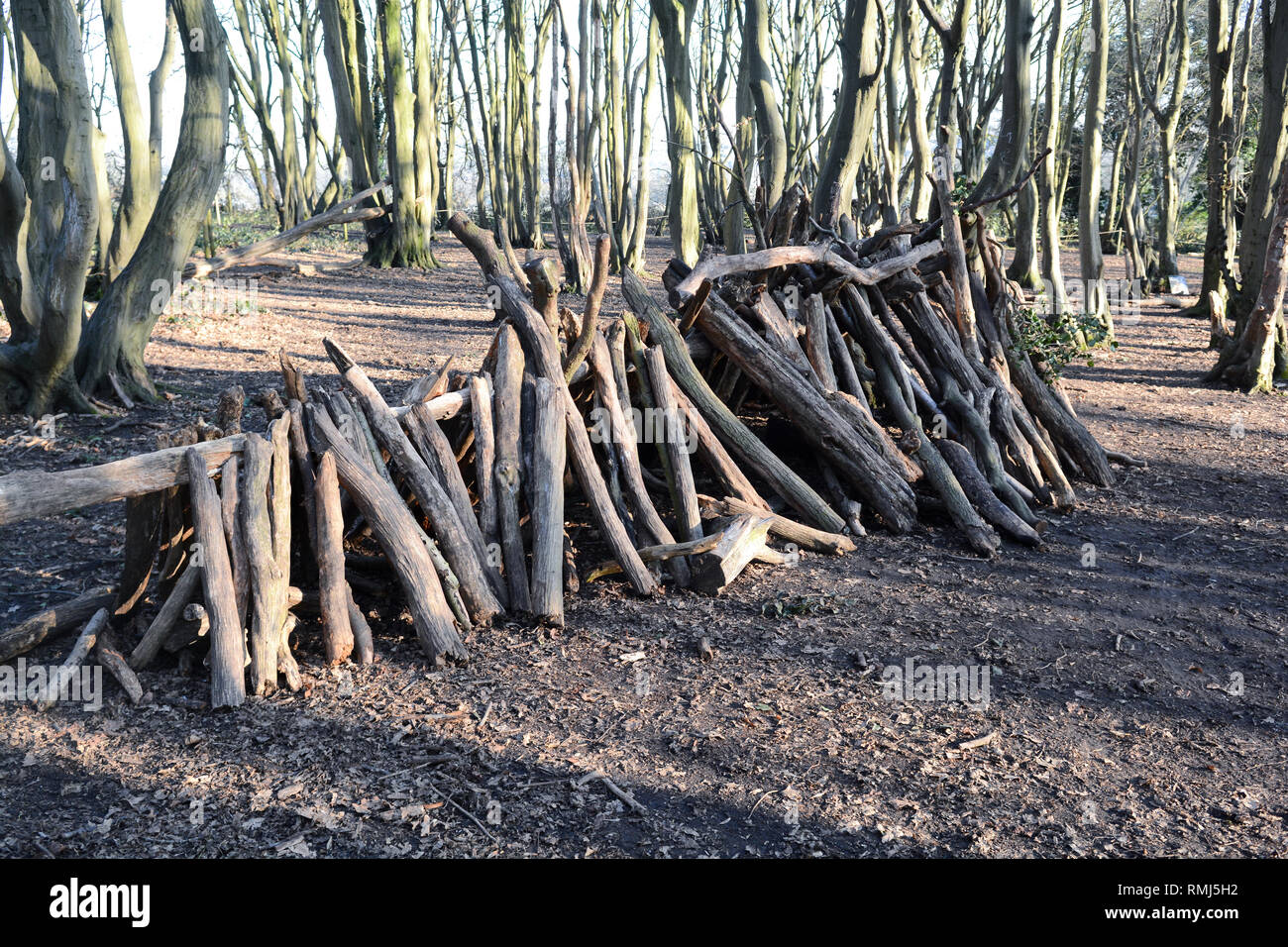 Den made from tree branches hi-res stock photography and images - Alamy
