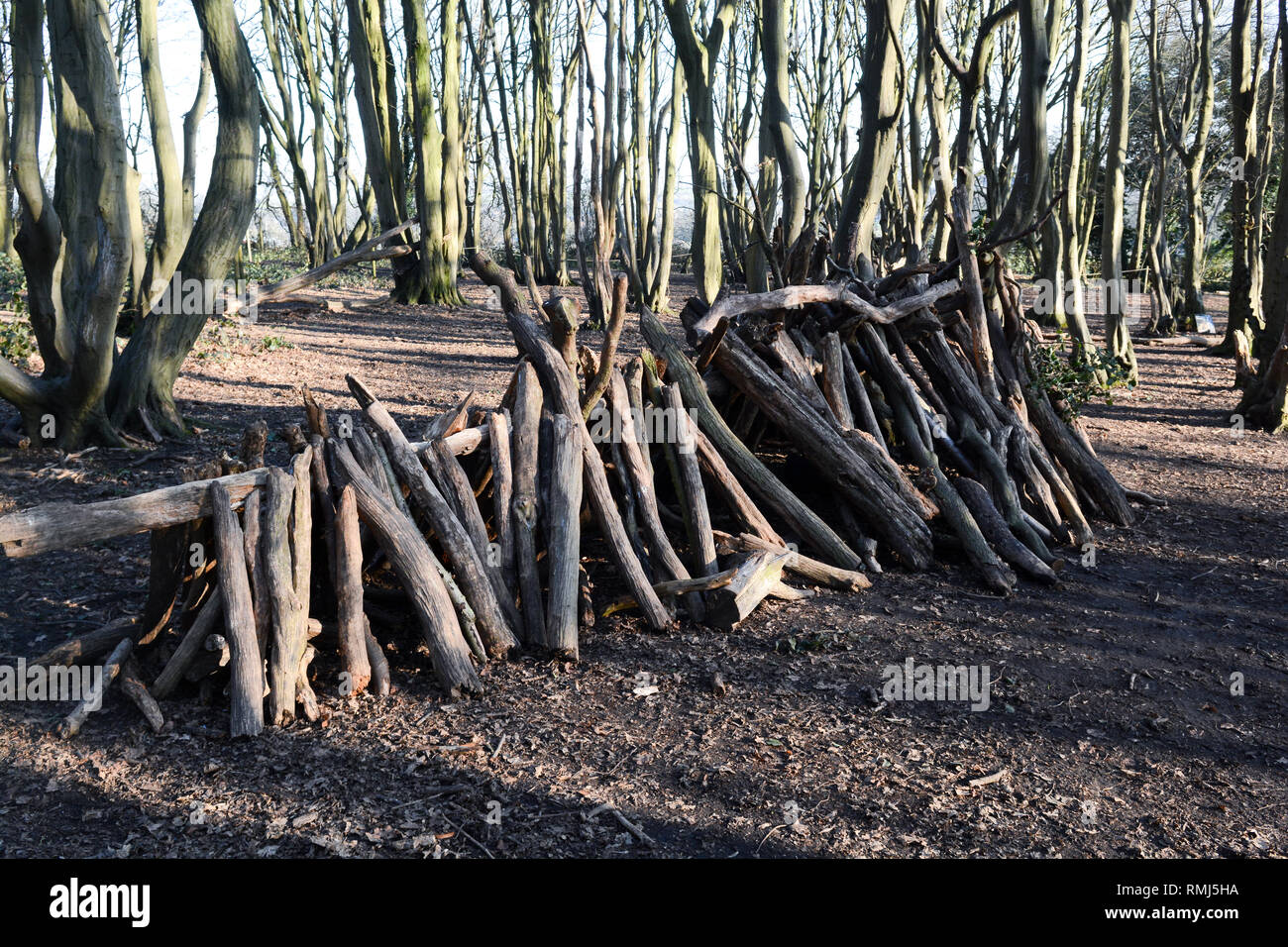 Dens or shelters made from logs and sticks in the forest Stock Photo ...