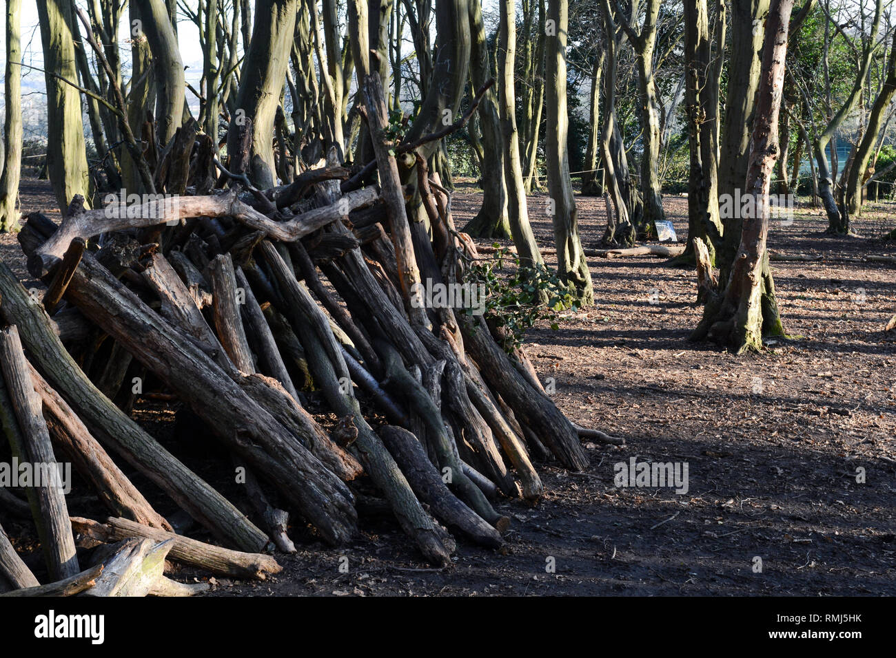 Dens or shelters made from logs and sticks in the forest Stock Photo ...