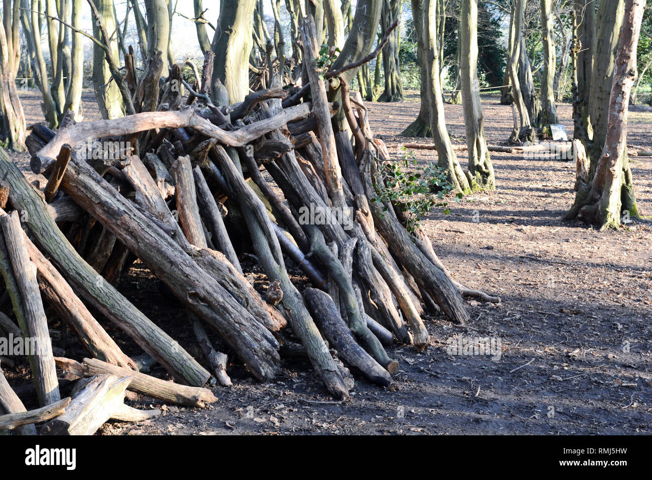 Dens or shelters made from logs and sticks in the forest Stock Photo ...