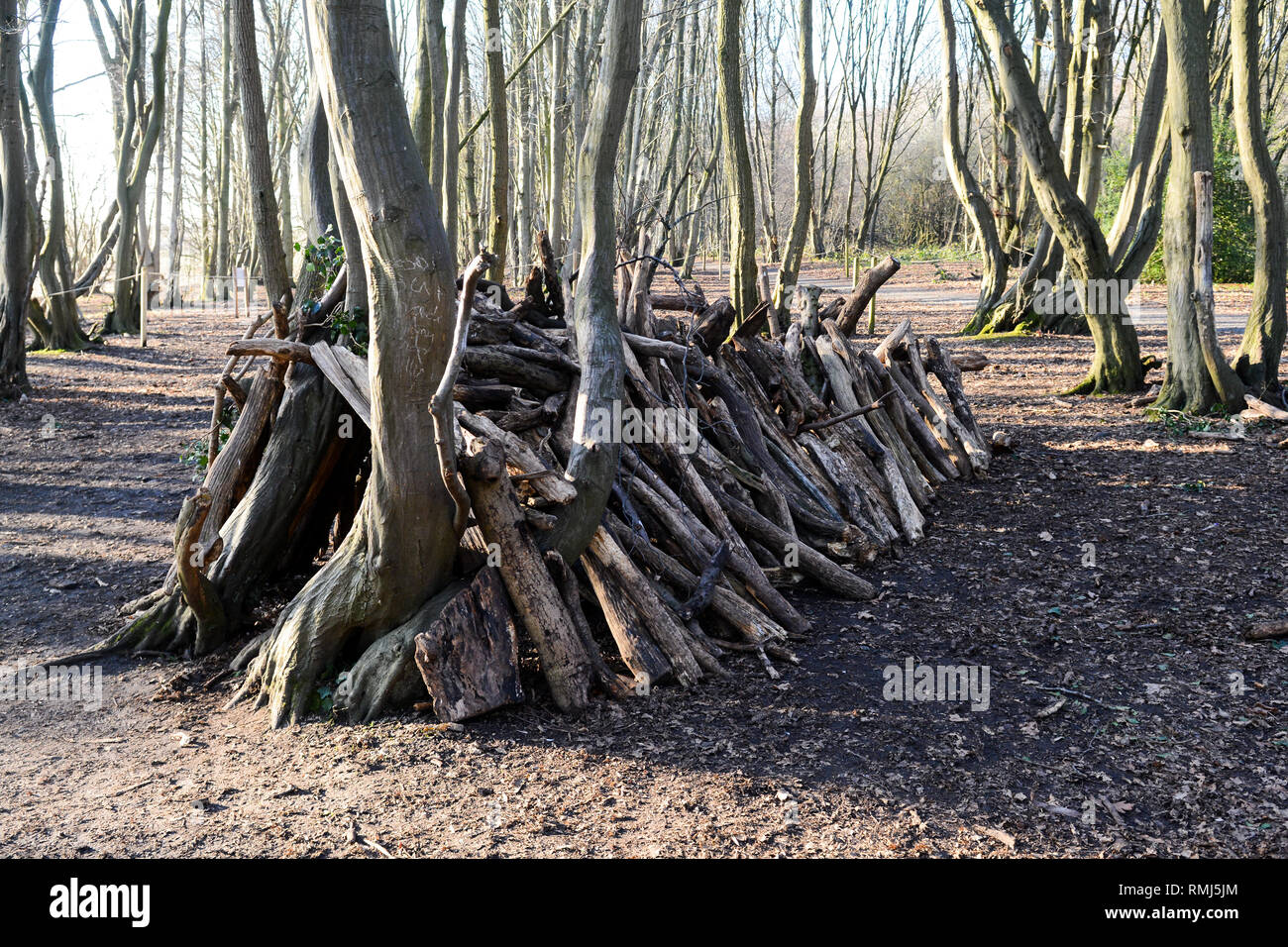 Dens or shelters made from logs and sticks in the forest Stock Photo ...